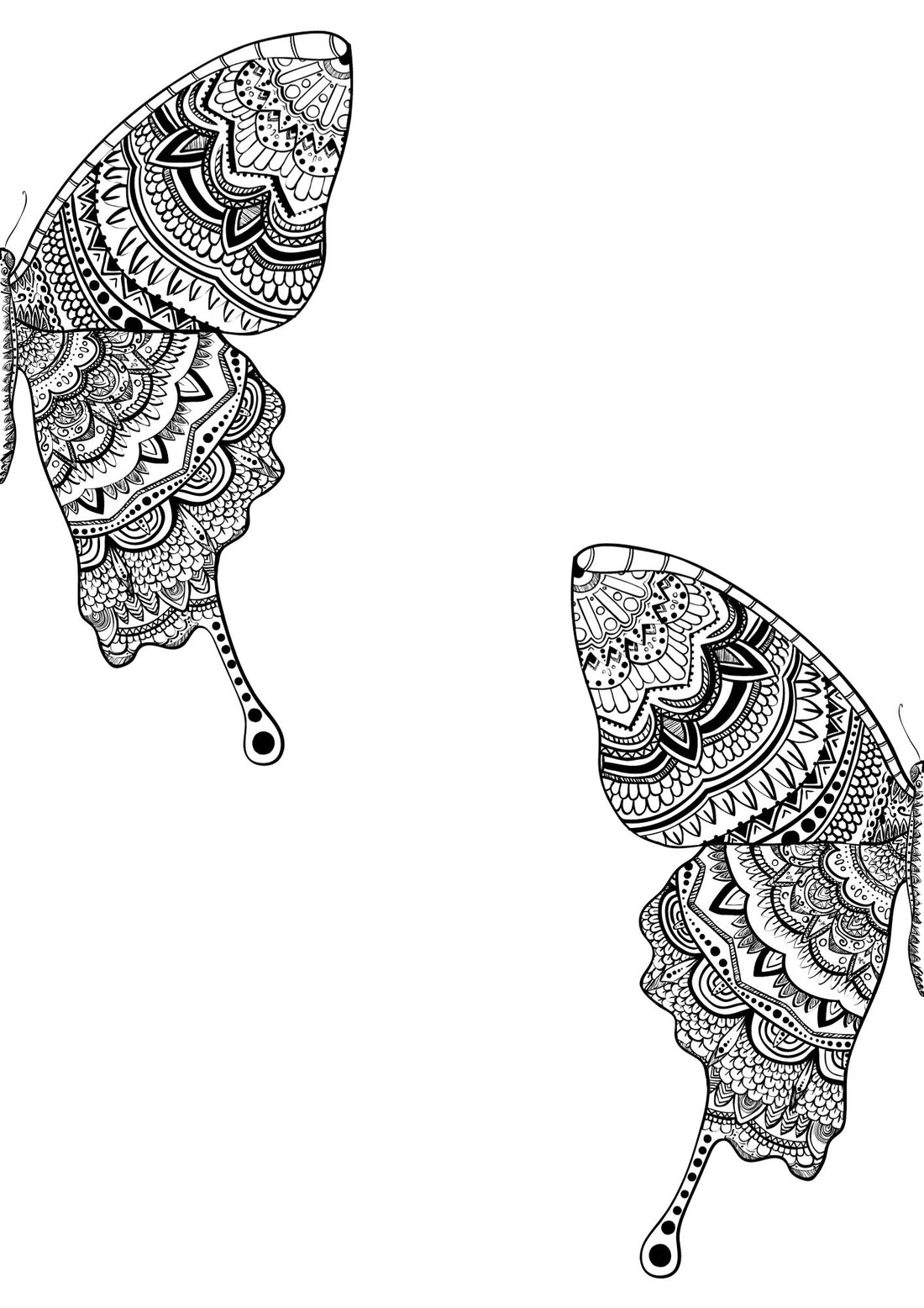 Alcohol Ink Coloring Sheets- "ANIMAL MANDALA" – Beyond Inks